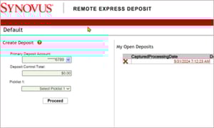 Synovus RDC Resources